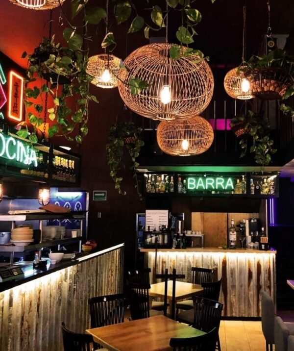 Los mejores restaurantes en Condesa para comer delicioso - The Guide CDMX