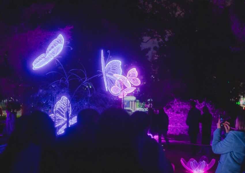 18 experiencias inmersivas en CDMX que no te puedes perder - The Guide CDMX