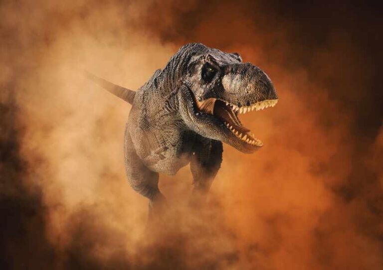 18 experiencias inmersivas en CDMX que no te puedes perder - The Guide CDMX