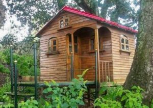 8 hermosas cabañas en Amealco para una escapada perfecta - The Guide CDMX