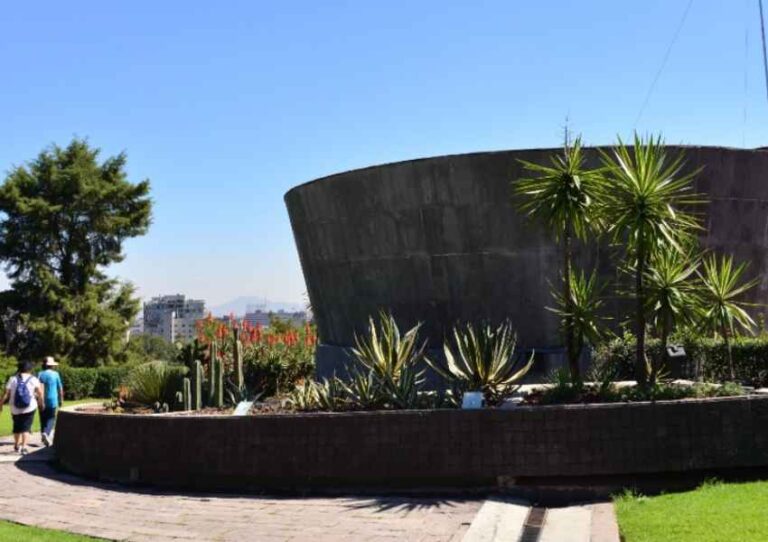 Conoce 8 museos en Chapultepec - The Guide CDMX