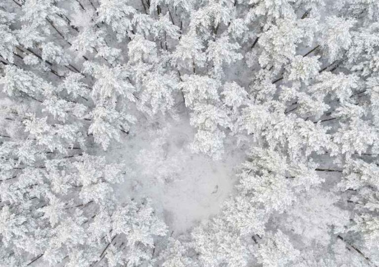 10 Lugares con nieve en México: Destinos invernales imperdibles - The ...