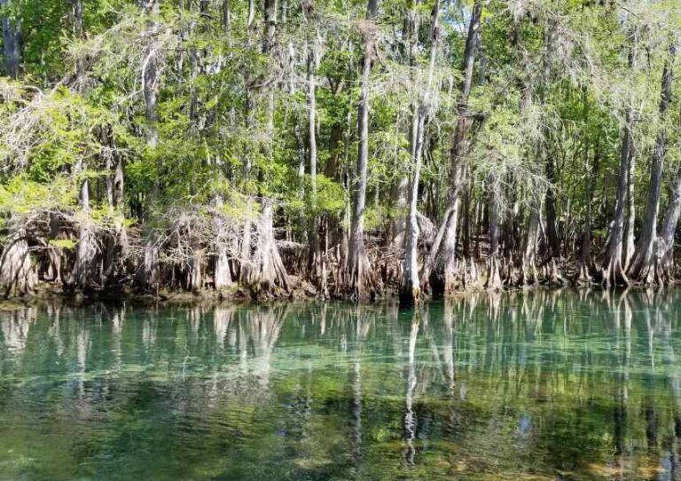 21 Lugares para visitar cerca de CDMX: Escapadas imperdibles - The ...