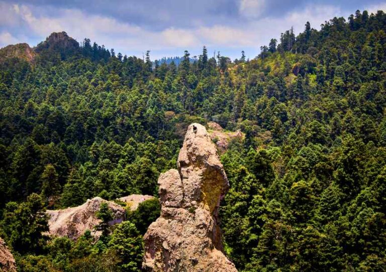 21 Lugares para visitar cerca de CDMX: Escapadas imperdibles - The Guide CDMX