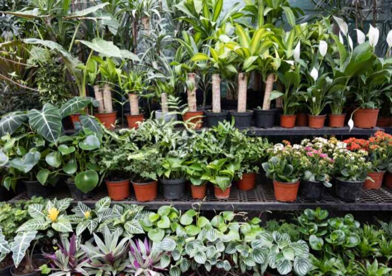 11 cosas que hacer en Coyoacán - The Guide CDMX