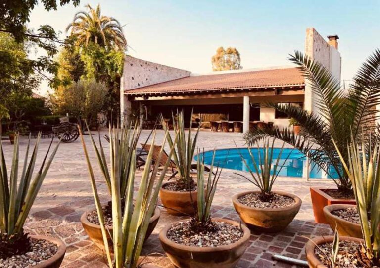 Descubre los viñedos cerca de CDMX para una escapada inolvidable - The Guide CDMX