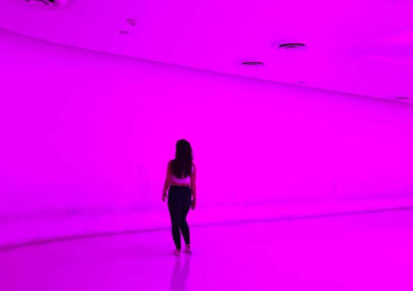 18 experiencias inmersivas en CDMX que no te puedes perder - The Guide CDMX