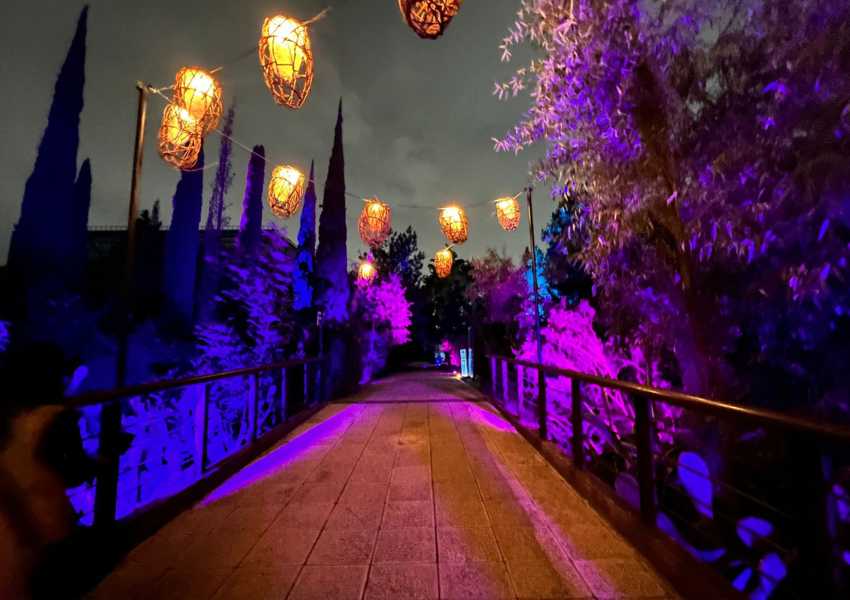 18 experiencias inmersivas en CDMX que no te puedes perder - The Guide CDMX