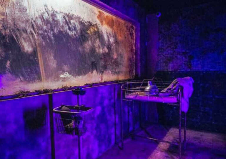 18 experiencias inmersivas en CDMX para otoño 2024 que no te puedes perder - The Guide CDMX